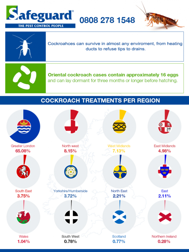 Cockroaches – Household Pests Infographic